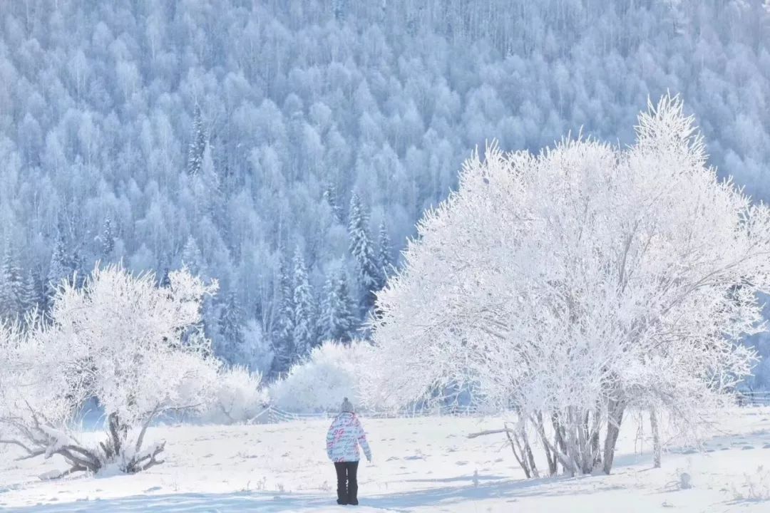 这里的冬天曾是“禁地” 现在是人神共享的冰雪秘境 _凤凰网