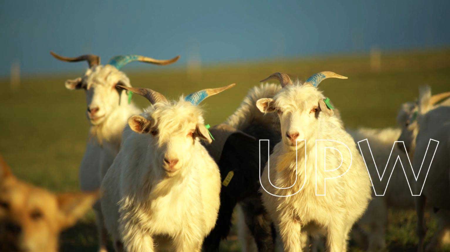 UPW生态时尚 | 人性化新平台Outlet缓解 “生产过剩”大难题_凤凰网